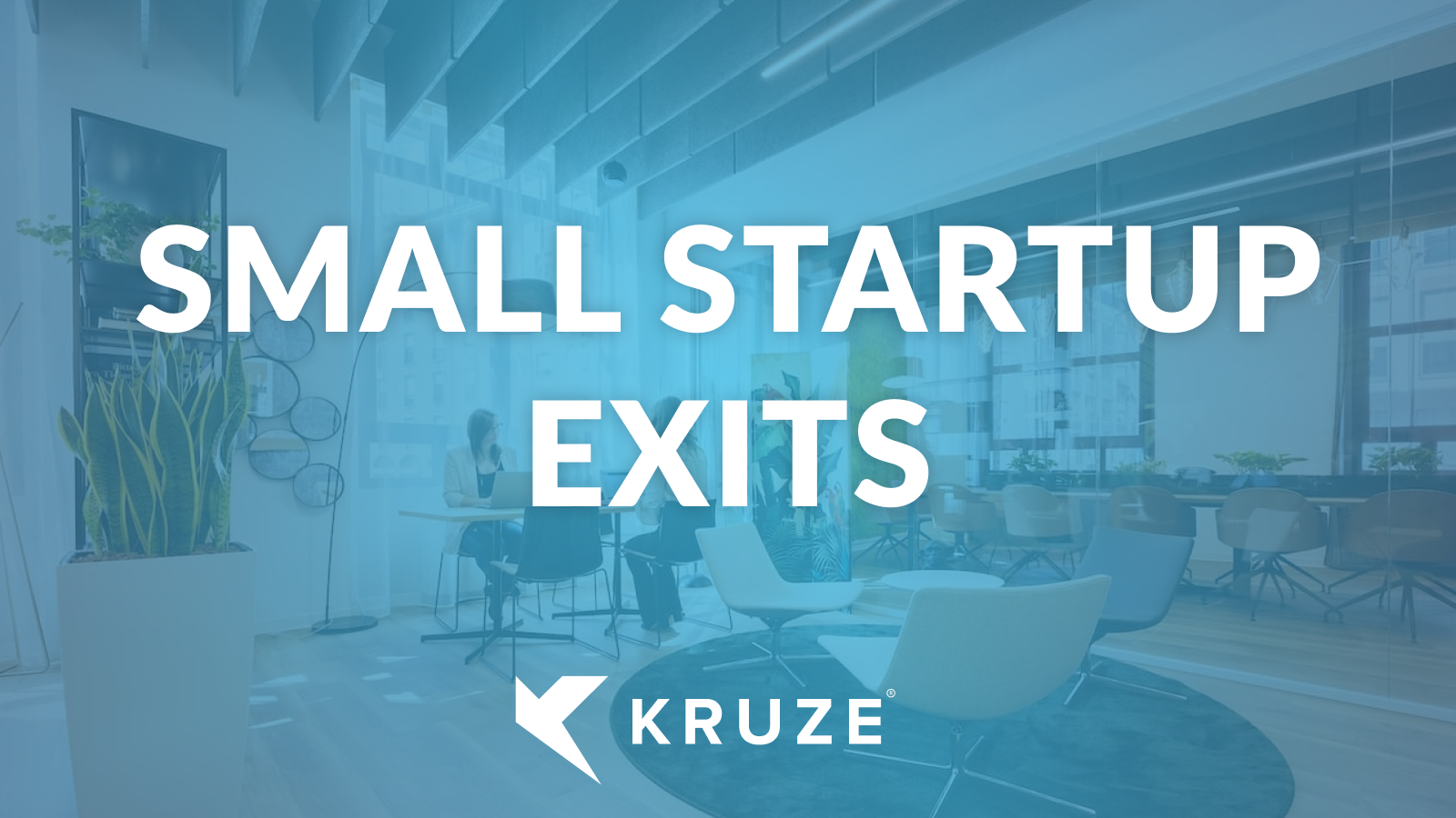 Understanding Small Startup Exits